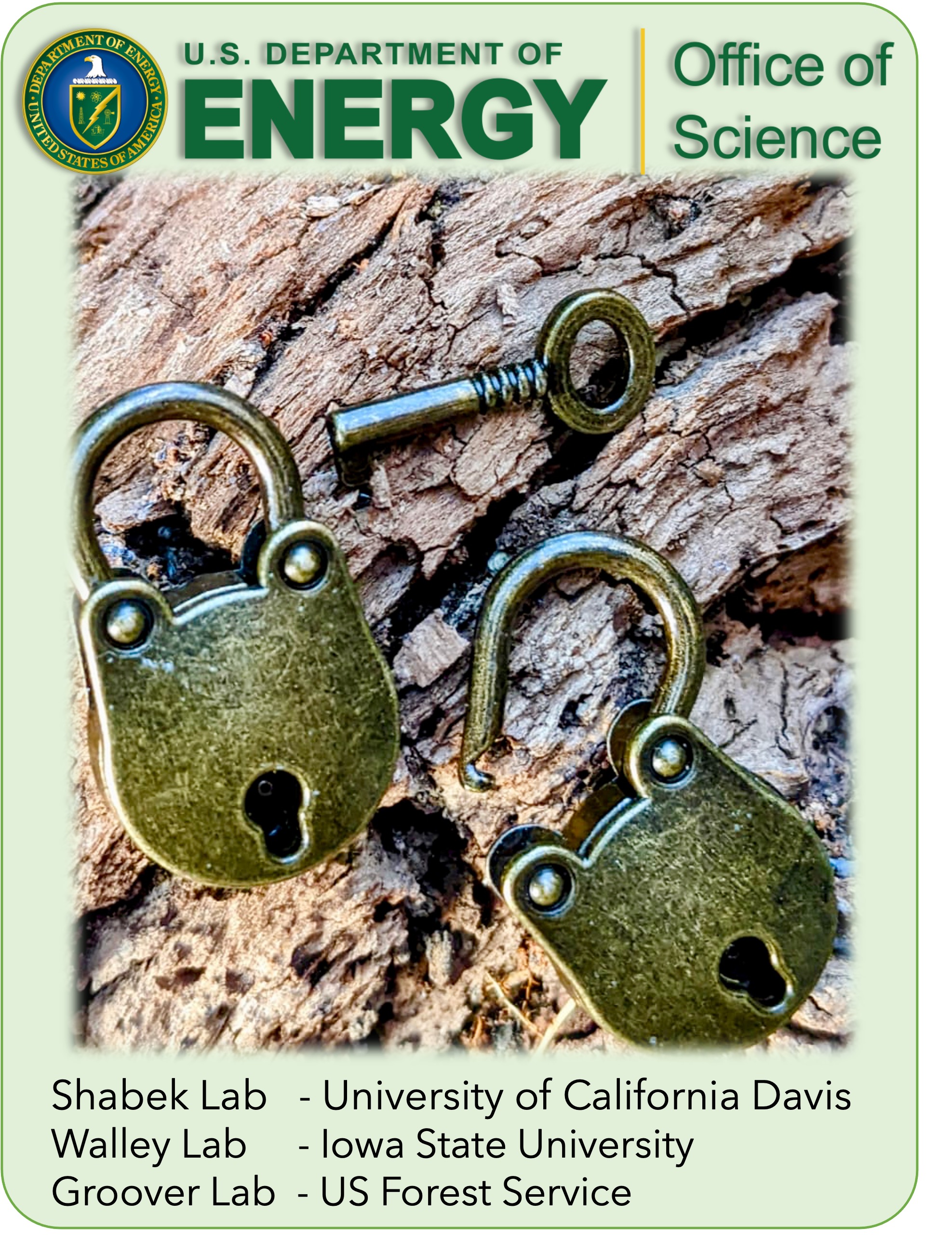 DOE Award to the Shabek lab – Shabek Lab